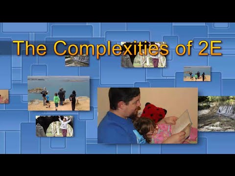 What is Twice-Exceptionality? The Complexities of Being 2E. An Introduction.