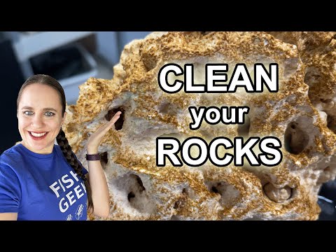 How to Remove Algae from Rocks (and aquarium decorations)
