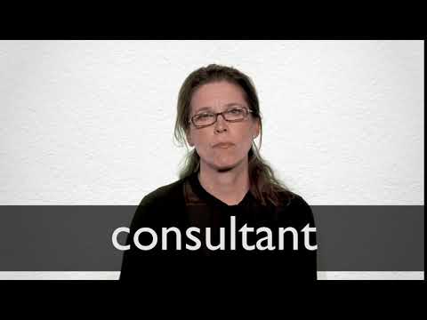 CONSULTANT Synonyms | Collins English Thesaurus