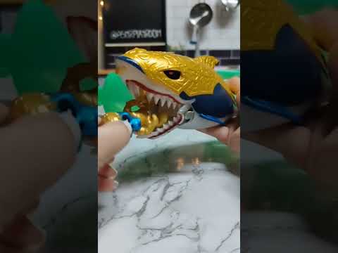 A shark from a gifted box from a fan...