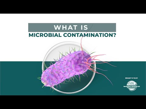 What is Microbial Contamination? | Everything to Know