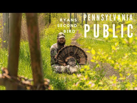 Pennsylvania Turkey Hunting 2023