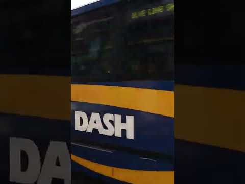 DASH Alexandria Transit Company Bus Action In Alexandria, Virginia