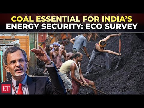 India’s energy transition should focus on adaptation funding rather than emission mitigation: CEA