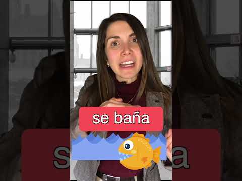Ñ words #learnspanish #spanishlessons