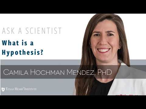 What is a Hypothesis?