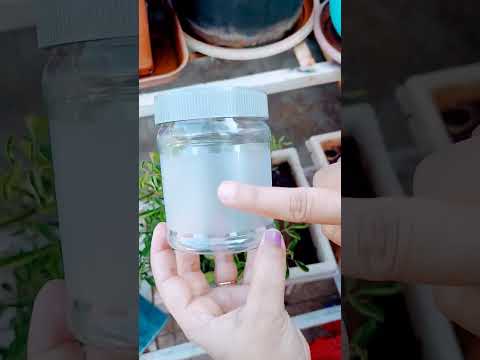 Only 10 Seconds Remove Sticky Stickers Glue Residue From Glass & Plastic bottle or Jar π₯ l #shorts