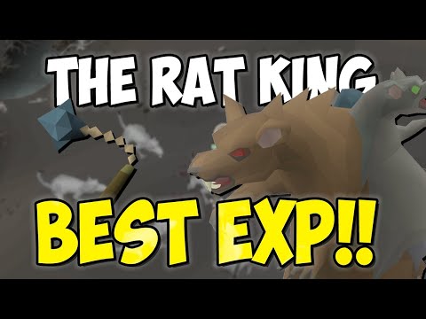 BEST COMBAT EXP: The Rat King Guide (150K XP/hr)