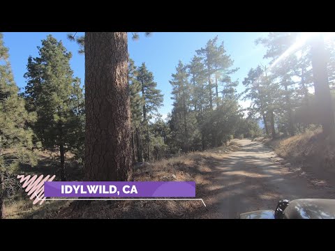 Jeep Camping in Idyllwild, CA