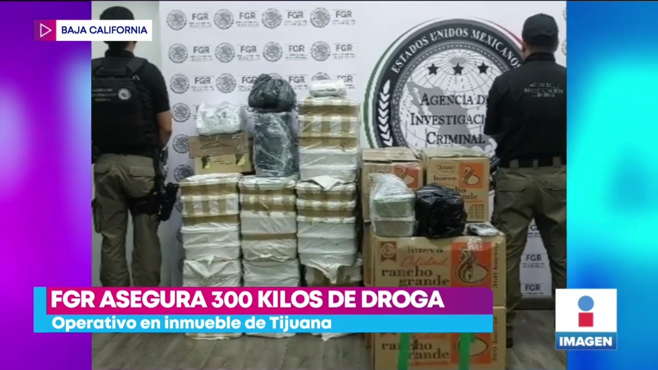 FGR asegura más de 300 kilos de droga en operativo en Tijuana  | Noticias con Yuriria Sierra