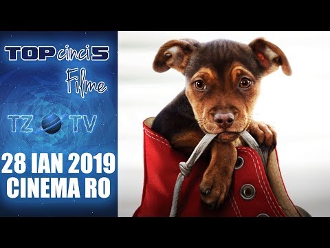 TOP 5 Filme noi in cinema - 28 Ianuarie 2019