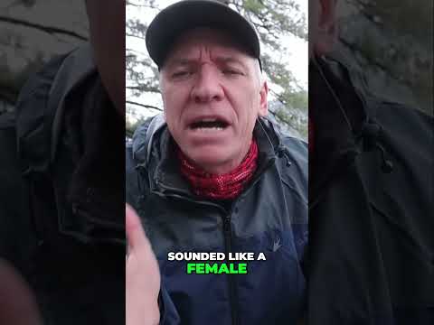Evil Screams Coming from the Forest!