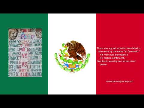 MEXICO LIMERICK | Tiger Riding for Beginners