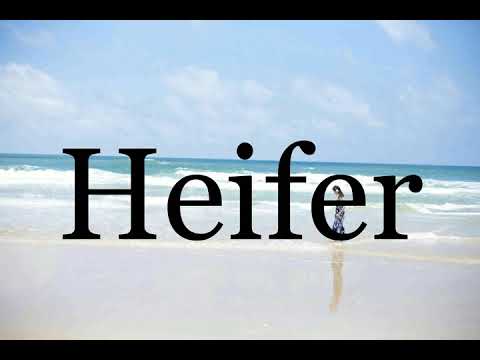 How To Pronounce Heifer🌈🌈🌈🌈🌈🌈Pronunciation Of Heifer