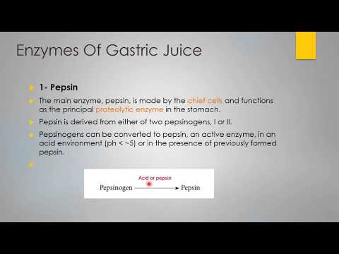 components of gastric juice