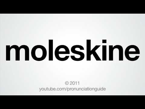 How To Pronounce Moleskine