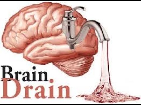 What is Brain Drain?