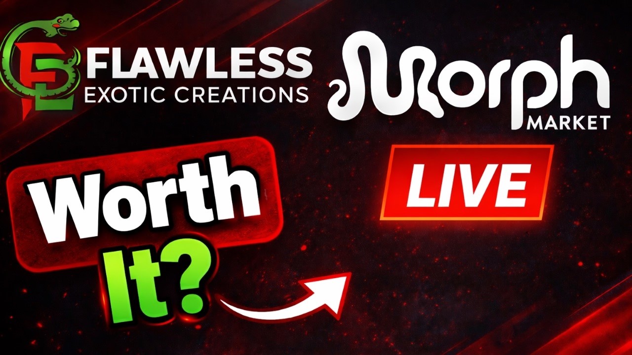 MorphMarket Live: Is It Worth It for Ball Python Breeders?