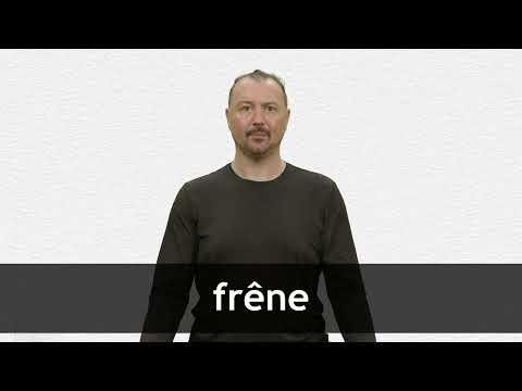 English Translation of “FRÊNE” | Collins French-English Dictionary