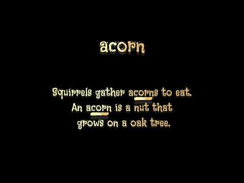 Kids Dictionary A-Z | Kids Vocabulary Educational Video for Kids | ABC First Dictionary For Kids