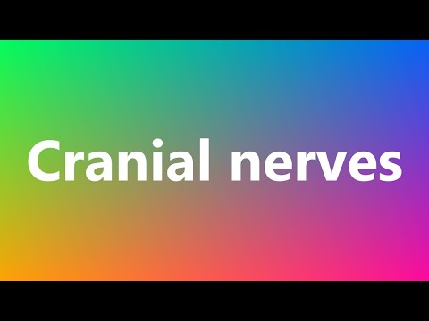Cranial nerves - Medical Definition and Pronunciation