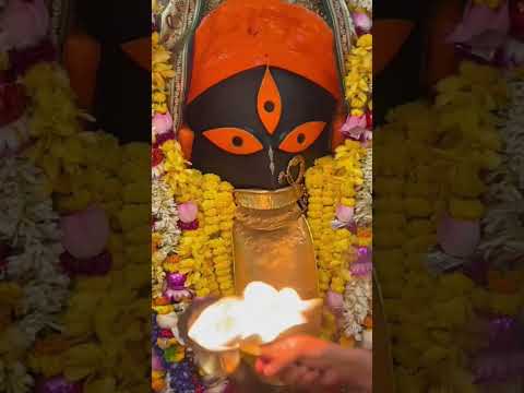 জয় মা🌺 #viralvideo #viral #devine #kali #kalighat #kalighattemple #kalimaa #hindugod #hinduism #maa