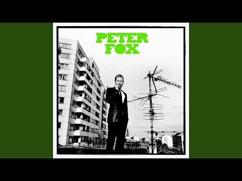 Peter Fox - Stadtaffe Text - SongTextes.de