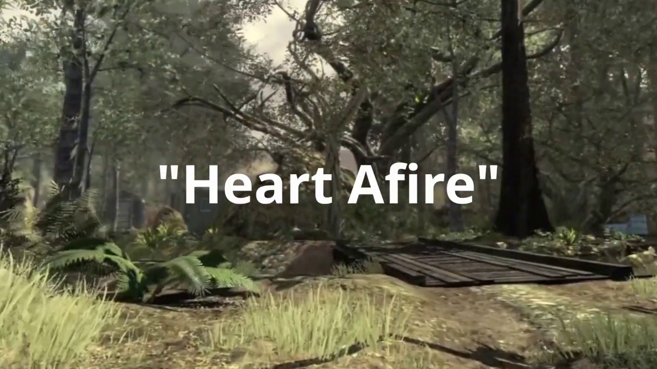 A Multi CoD edit - Heat Afire By Laux