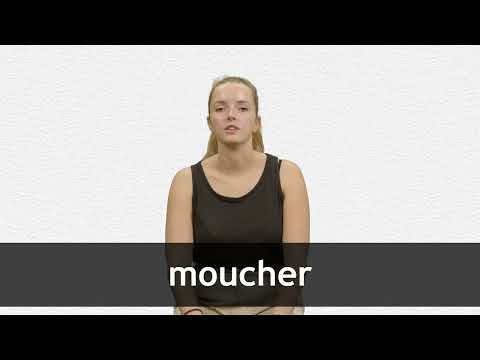 English Translation of “MOUCHER” | Collins French-English Dictionary