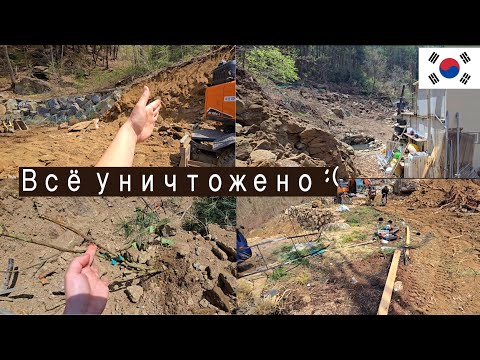 На участке не осталось живого места / История дружбы Гелика / KOREA VLOG