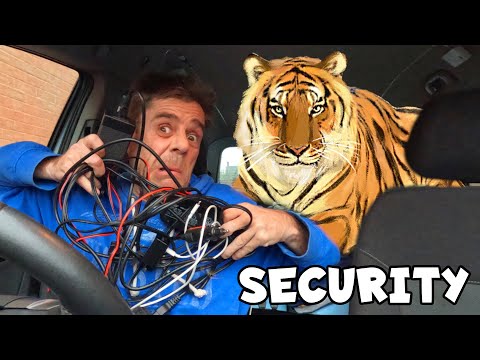 Security Installation in the CRIB - Got A Tiger