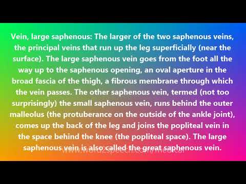 Vein, large saphenous - Medical Meaning and Pronunciation