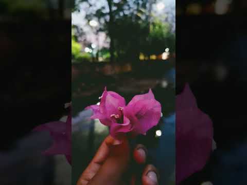 Barish || mansoon || #nature #tree #mosam #travel #beach #flowers #beauty #beautiful #aspirants #nk