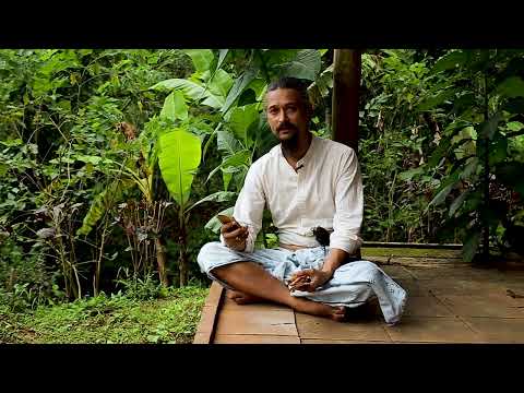 The Healing Powers of Sandalwood