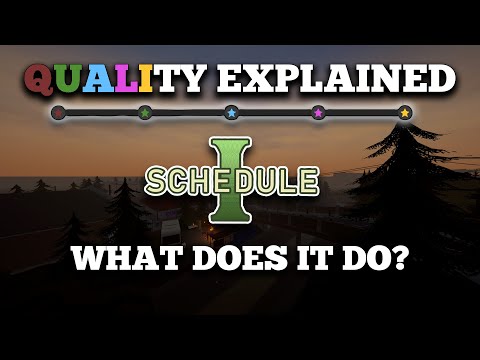 Quality Explained/What Quality Affects (Schedule 1)