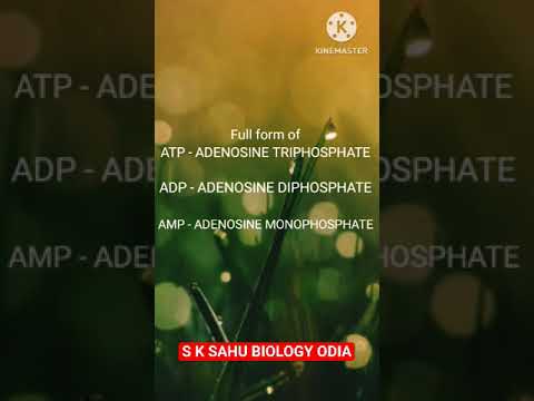 ATP ADP AMP NADH FADH2 #sksahubiologyodia #biology
