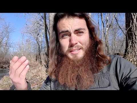 Grasses, Sedges, and Rushes