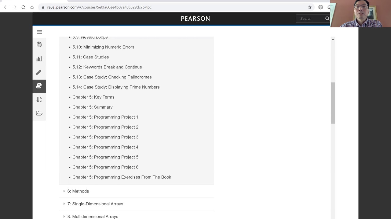 Pearson Liang Revel Programming Projects Help Overview