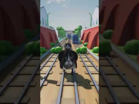 When your FAT CAT playing subway surfing at 3am