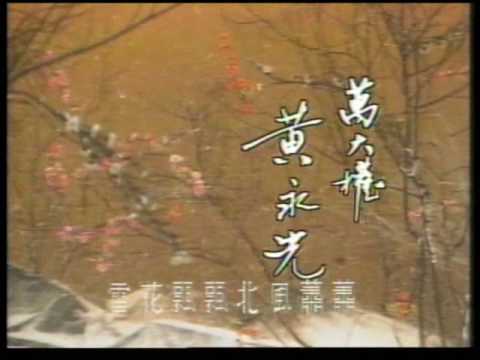 Yi Jian Mei (A Spray of Plum Blossoms) 一翦梅 – Fei Yu Ching 費玉清 | Corner Café