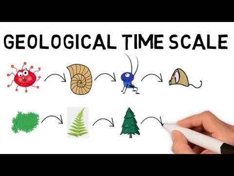 Evidence for Evolution Theory