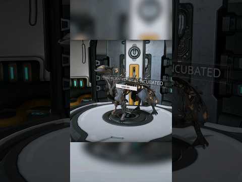 How to get an Infested Kubrow #warframe #gaming