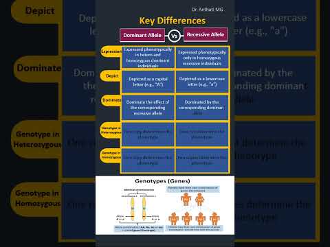 Dominant allele vs recessive allele #biology