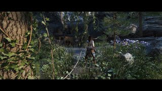 Nature of the Wild Lands mod v2 at Skyrim Special Edition Nexus - Mods ...