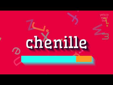 How to say "chenille"! (High Quality Voices)