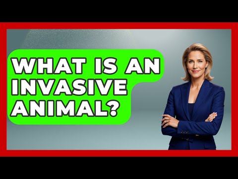 What Is An Invasive Animal? - The Geography Atlas