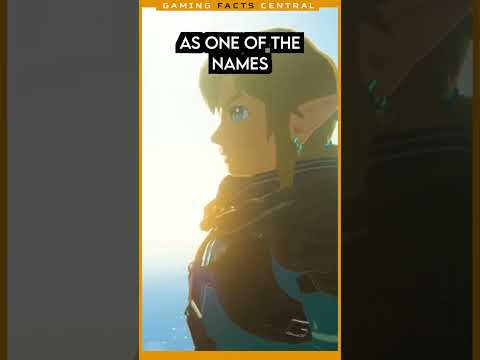 How Link Almost Got Named 'Chris' in The Legend of Zelda