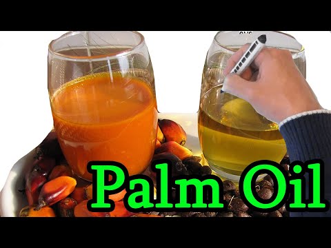 Palm oil - really harmful? truth about palm oil, products which contains palm oil,