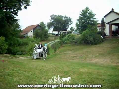 Horse and Carriage -- Wedding Carriage -- Cinderella Carriage 22d -- Carriage Limousine Service