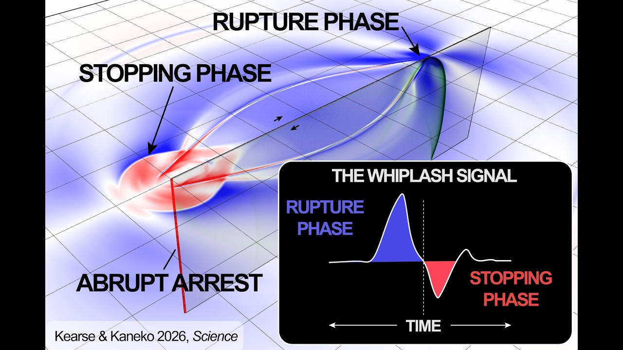 How Do Large Earthquakes Stop?